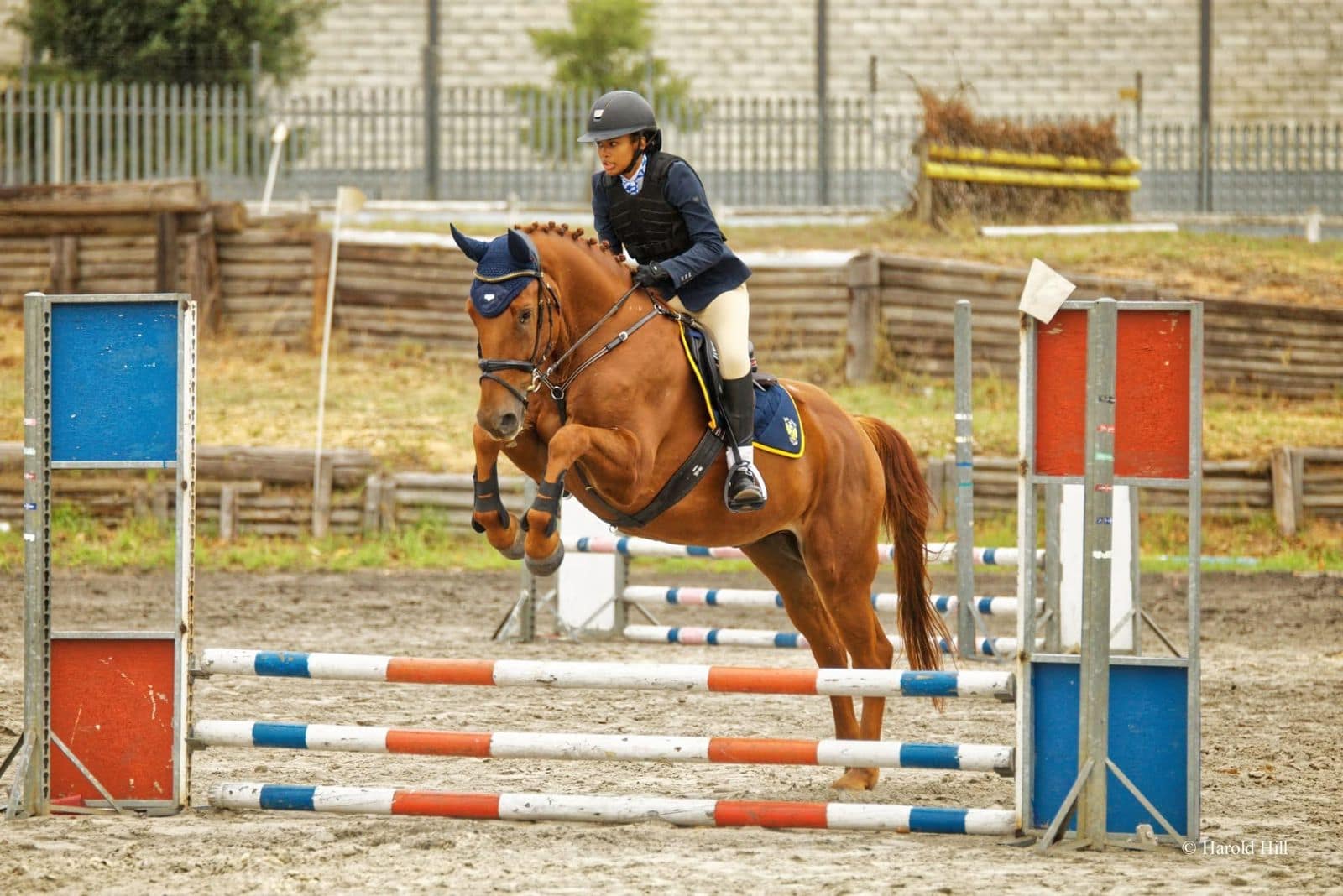 La Rochelle Girls' High School equestrian excelled - AWSUM School News