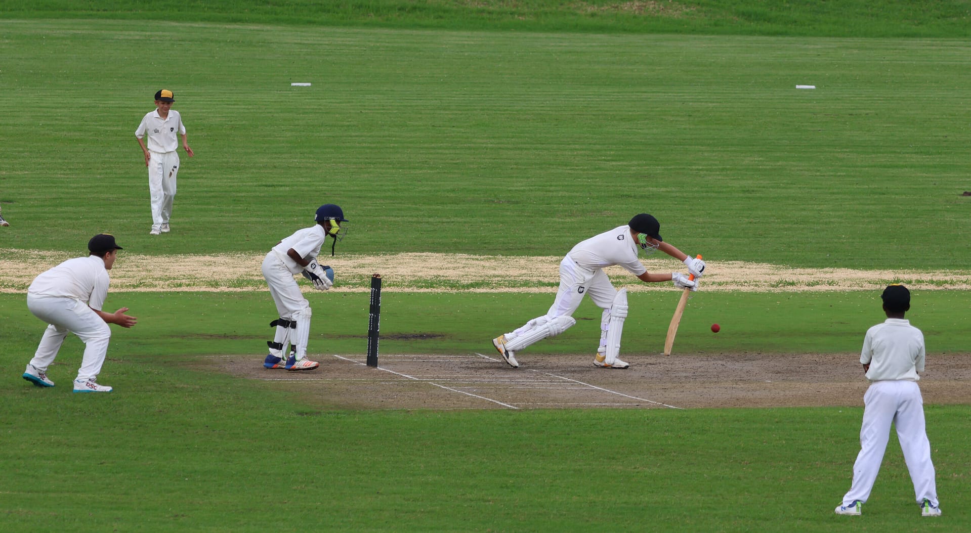 Selborne College cricket results - AWSUM School News
