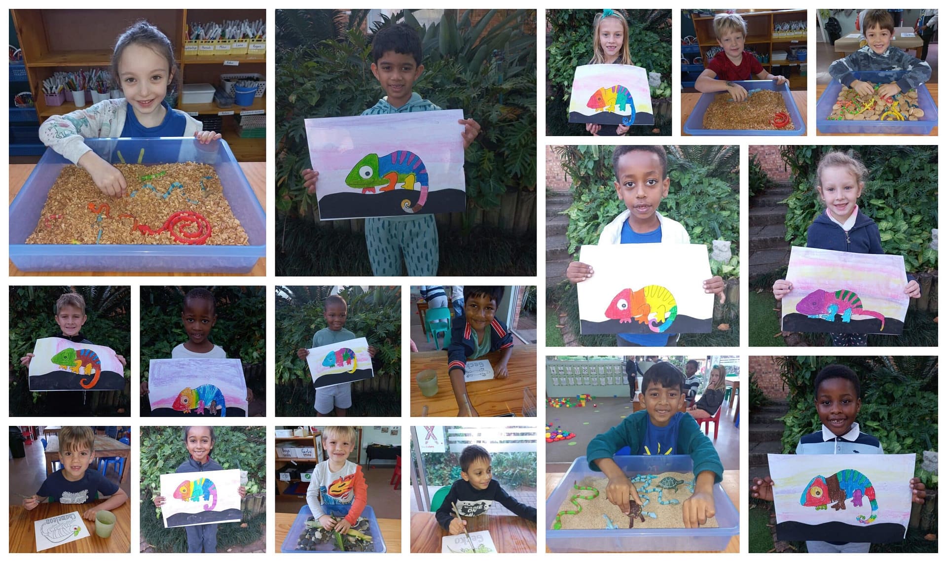 Creston College Grade R learners explore the world of reptiles - AWSUM ...